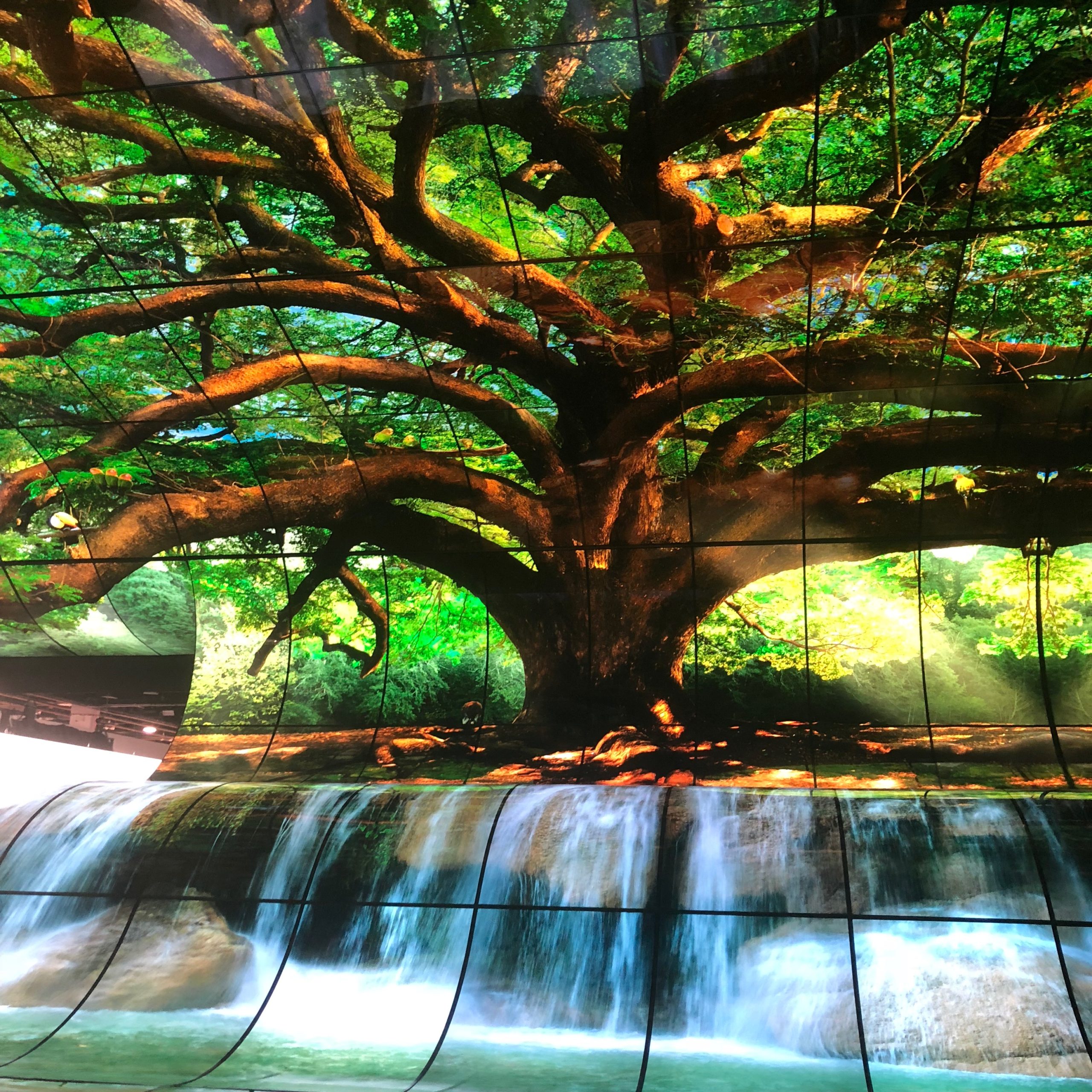 Cool video from CES 2019