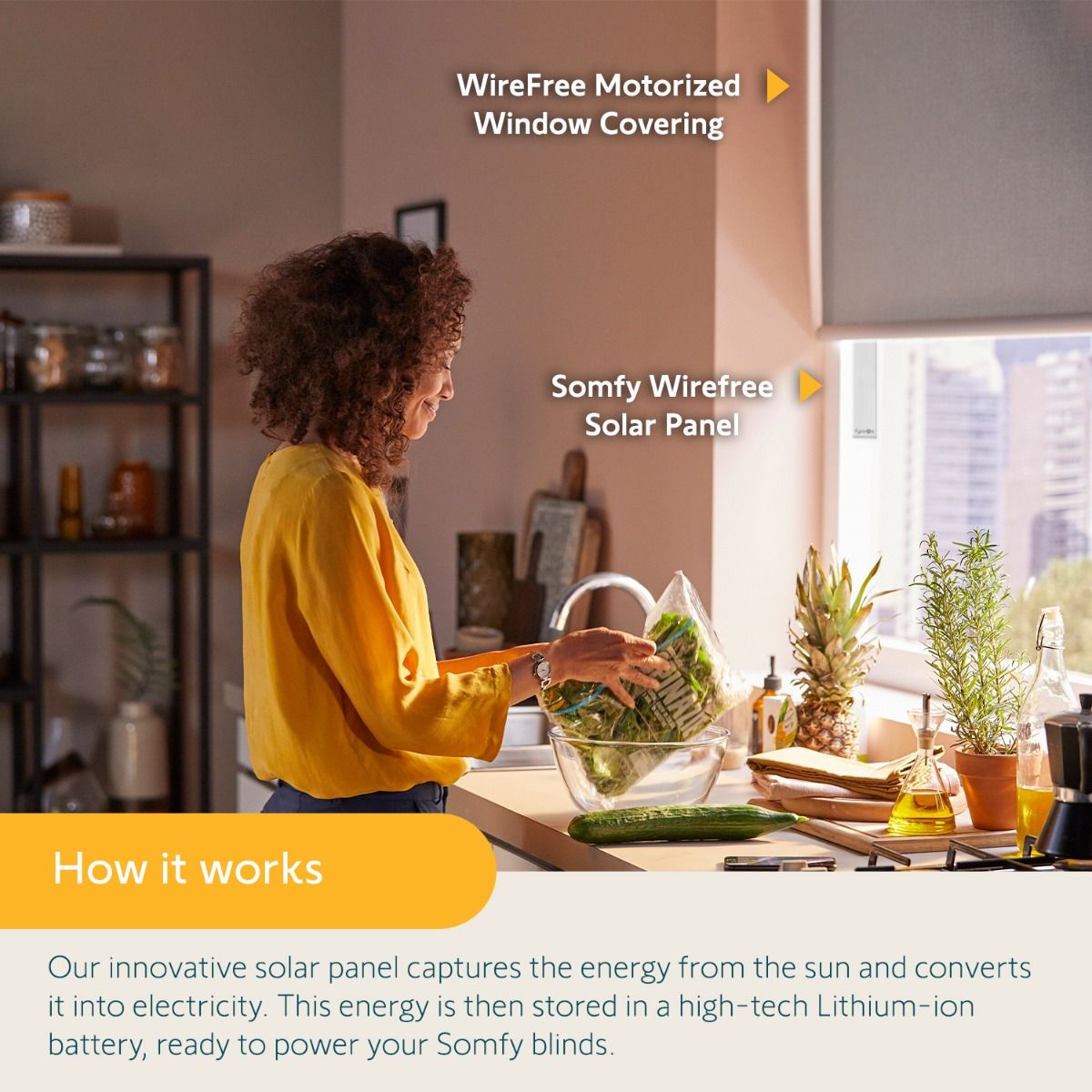Somfy Launches WireFree Li-ion Solar Panel To Consumers - TWICE