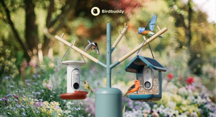 Name That Bird! Bird Buddy Launches Nature Intelligence, Nature ...