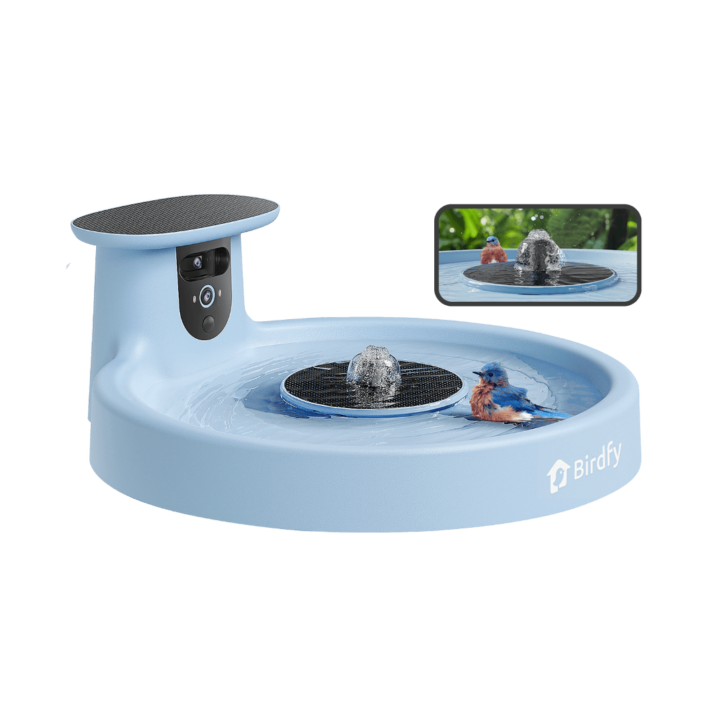 CES 2025 Tech Preview: Birdfy Reveals New Birdwatching Tech - TWICE